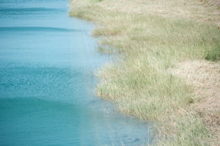 Water Quality Standards FM Management: Complete Guide for GCC Employers