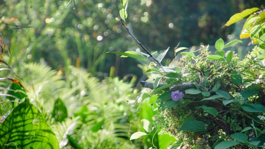 Landscaping Cycles Seasonal Plant Care: A Complete Guide for GCC Employers
